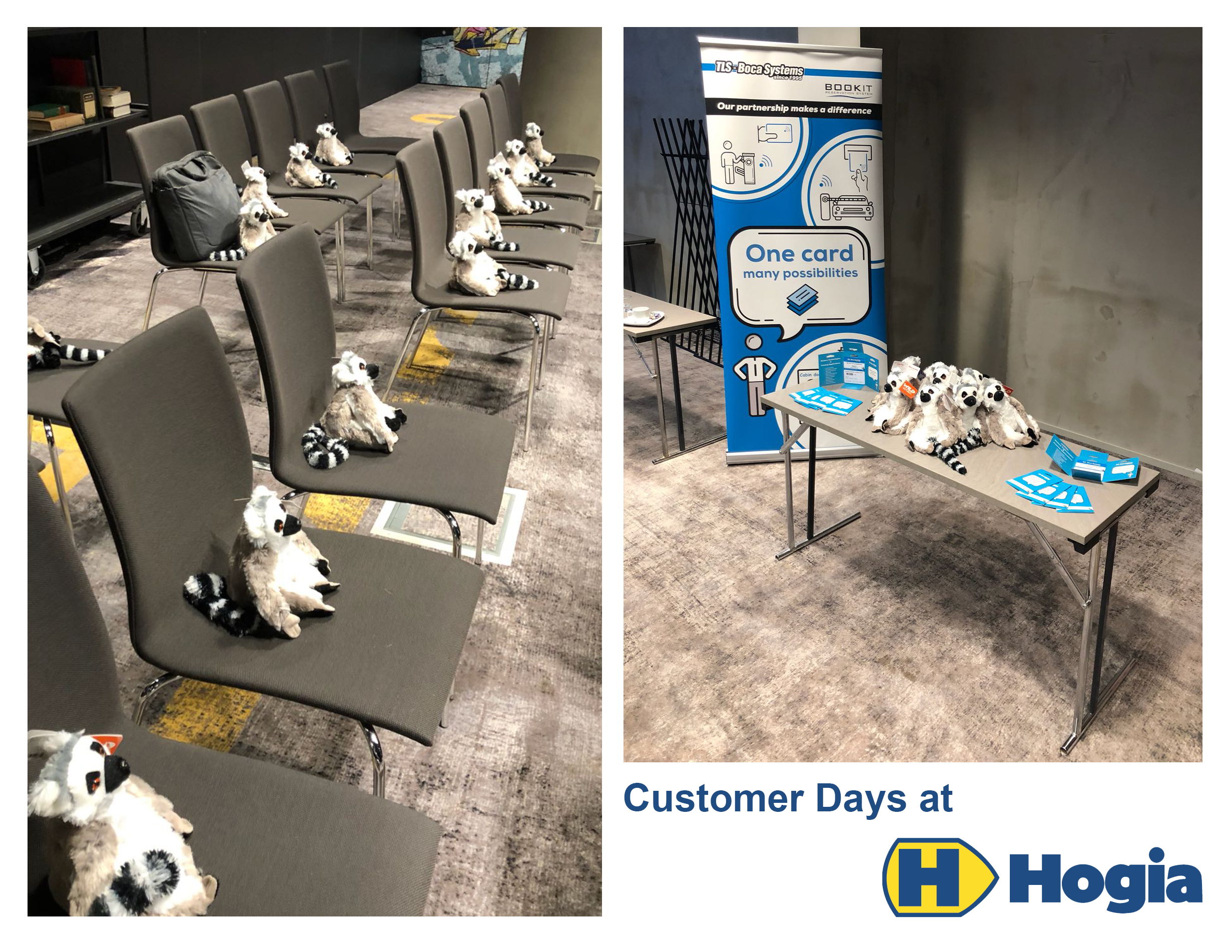 博客 - - The BOCA Lemurs are taking over the Hogia Customer Days! - BOCA ...